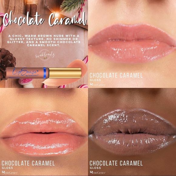 LipSense | Makeup | New Sealed Senegence Lipsense Limited Edition Mini ...